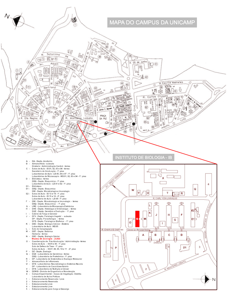 Mapa Museu Unicamp | Museu da Diversidade Biológica – Área Zoologia